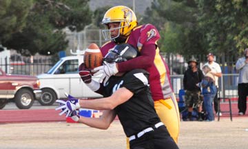 Call 623-939-4877 NOW to play or Email us at Vipers@azfl.com